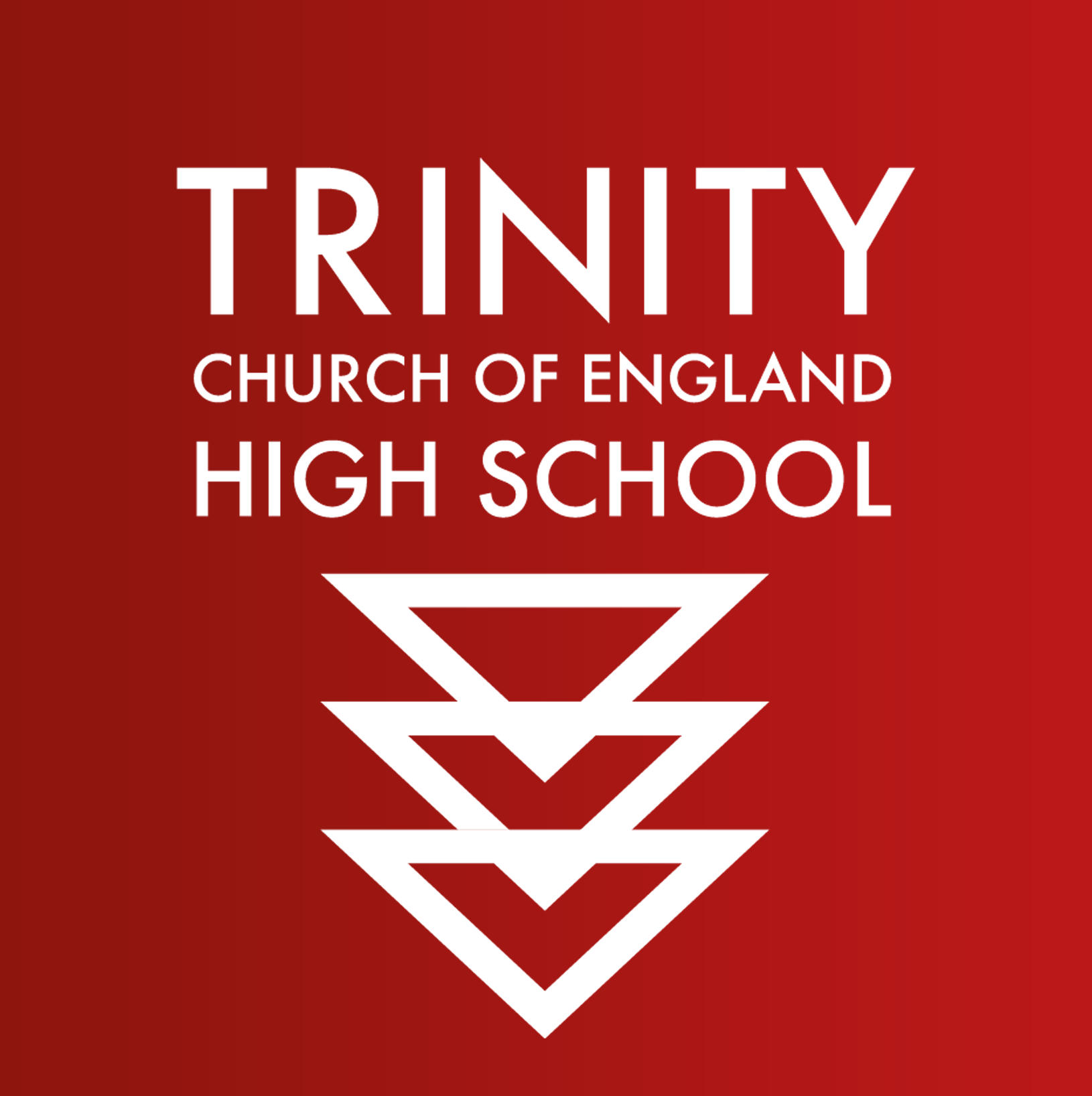 Trinity Leavers Hoodies – Awards4schools